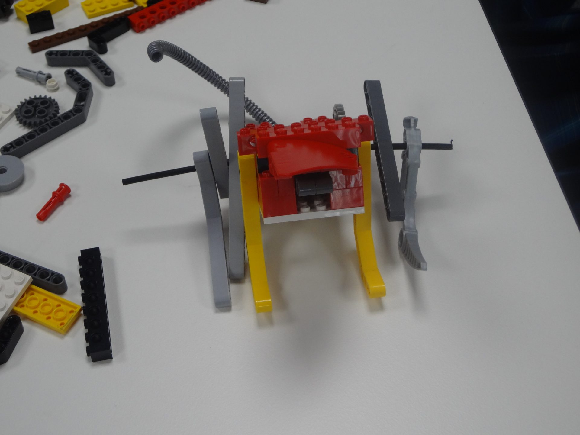 STEM特別講義 STEMな毎日を楽しもう！～これからの時代の学びについて考える～ | 和洋九段女子中学校高等学校